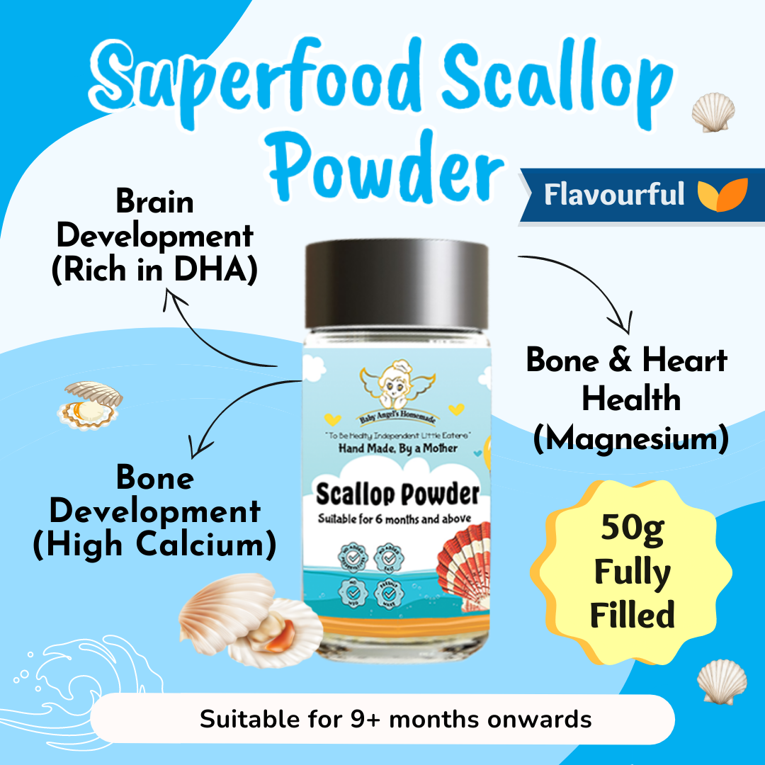 SuperFood Scallop Powder – Baby Angels Homemade